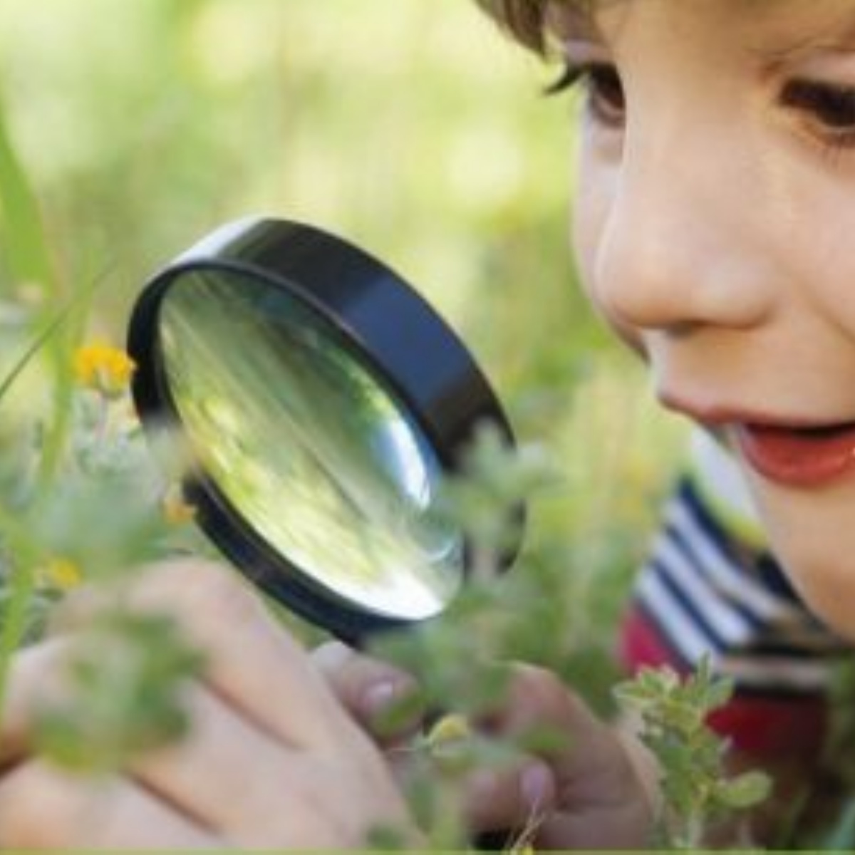 Belmont School - Harrow Woodcraft Folk