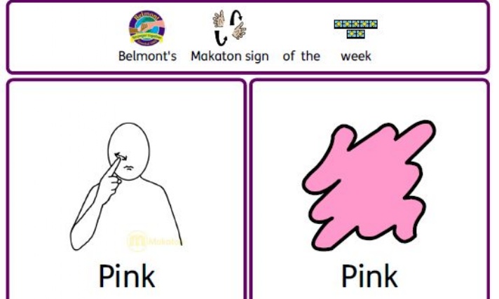 Belmont School - Belmont's Makaton Sign of Week 21.11.22